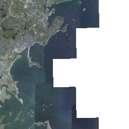 ArcGIS Web Application