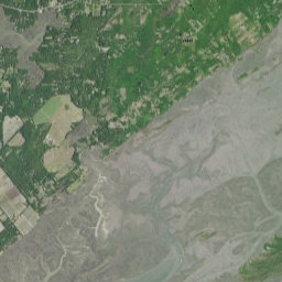 ArcGIS Web Application