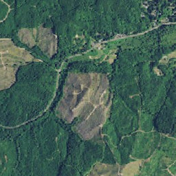 ArcGIS Web Application