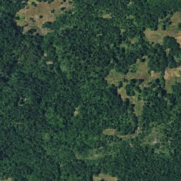 ArcGIS Web Application