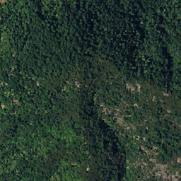 ArcGIS Web Application