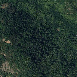 ArcGIS Web Application