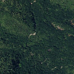 ArcGIS Web Application