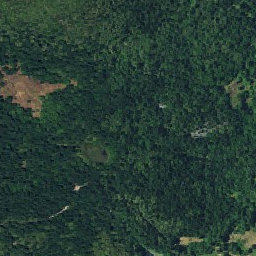 ArcGIS Web Application