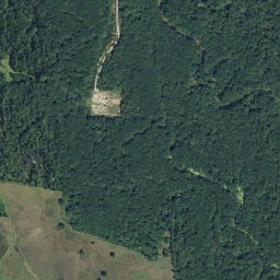 ArcGIS Web Application