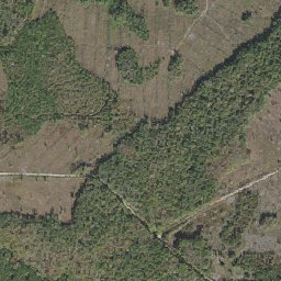 ArcGIS Web Application