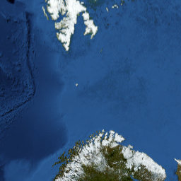 ArcGIS Web Application