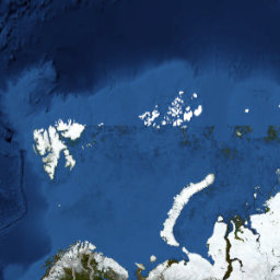 World Map – Real Soldiers