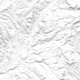 Steeple Trail #73 - Blue Range, AZ | HikeArizona