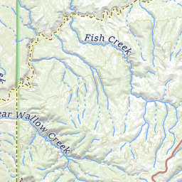 Steeple Trail #73 - Blue Range, AZ | HikeArizona