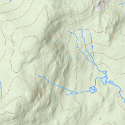 Miles Mountain Topo Map VT, Essex County (Miles Pond Area)