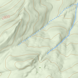 Donaldson Mountain Topo Map NY, Franklin County (Ampersand Lake Area)