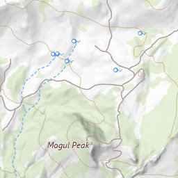 Barney Riley Trail Topo Map CA, Alpine County (Heenan Lake Area)
