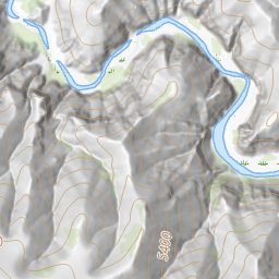 WS Point Tank Topo Map NM, Catron County (Harden Cienega Area)