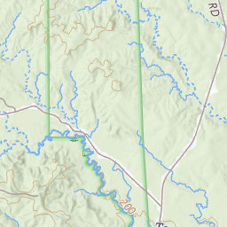 Homochitto National Forest
