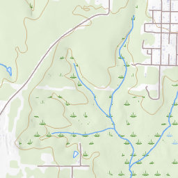 Crestview Florida Topographic Map